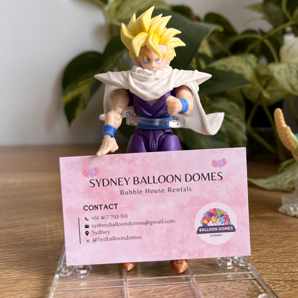 Sydney Balloon Domes | Rent Balloon Domes for Parties